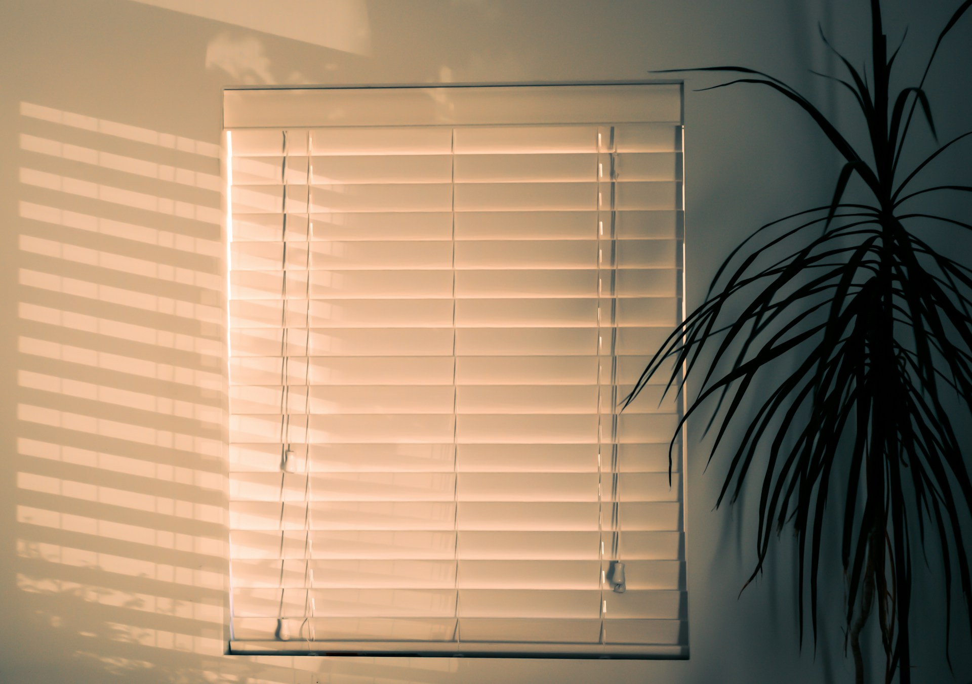 Types of Window Blinds in Toronto: A Complete Comparison Guide for 2025 ...